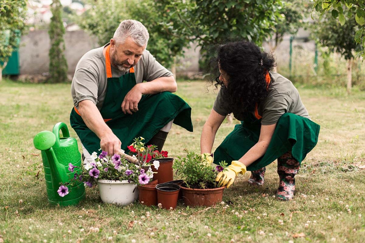 Fenugreek Seeds – Vaam Agro